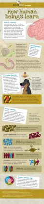 Educational infographic : How human being learn. #infographic #learning ...