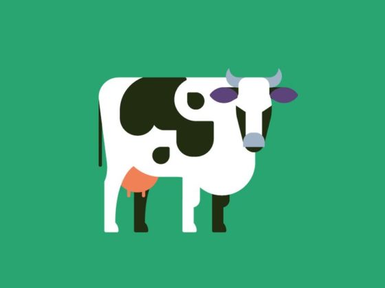 Food infographic - Cow - InfographicNow.com | Your Number One Source ...