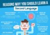 Educational infographic : Educational infographic : Educational ...
