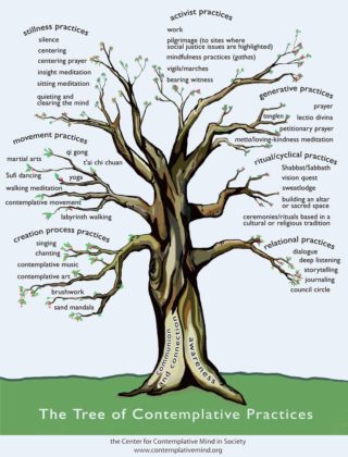 Psychology : The Tree of Contemplative Practices... - InfographicNow ...