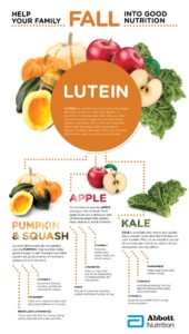 Food infographic - Healthy foods for the fall season - InfographicNow ...
