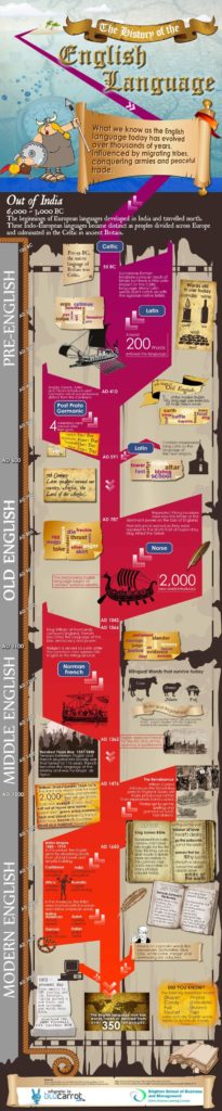 Educational infographic : Educational infographic : The History of the ...