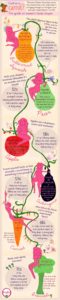 Food infographic - A charming look at women's body shapes, including a ...