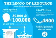 Business infographic : Téléchargez des milliers de vecteurs GRATUITES ...