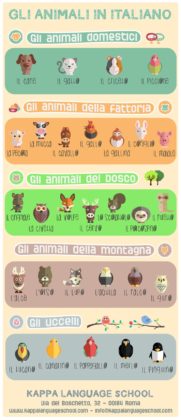 Educational infographic : Learn Italian words: animal names, an ...