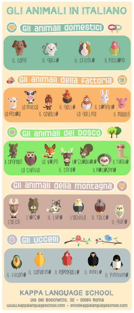 Educational infographic : Learn Italian words: animal names, an ...