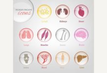 Travel infographic - Infographic: The Safest Places to Live in the U.S ...