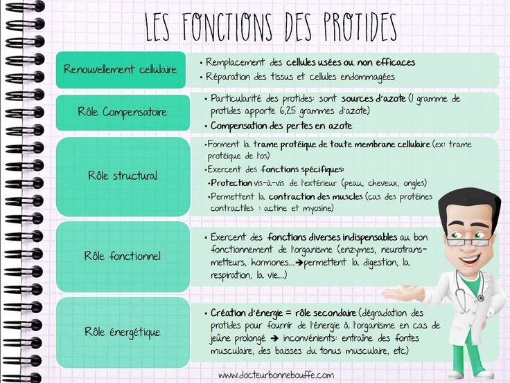 Health infographic : Les Protides (protéines) pour les nuls - Cours de ...