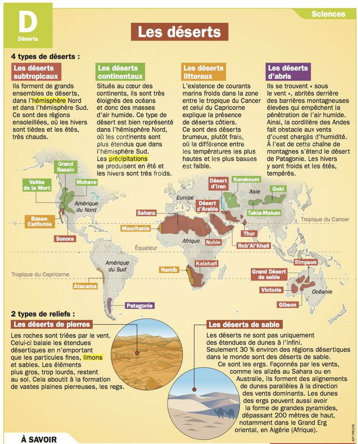 Science infographic – Les déserts | InfographicNow.com | Your Number ...