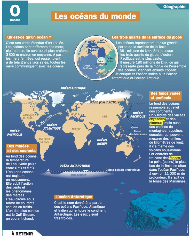 Science infographic - Les océans du monde - InfographicNow.com | Your ...