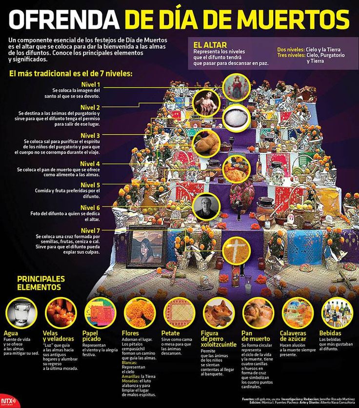Educational infographic : Día de los Muertos Por Completo ...