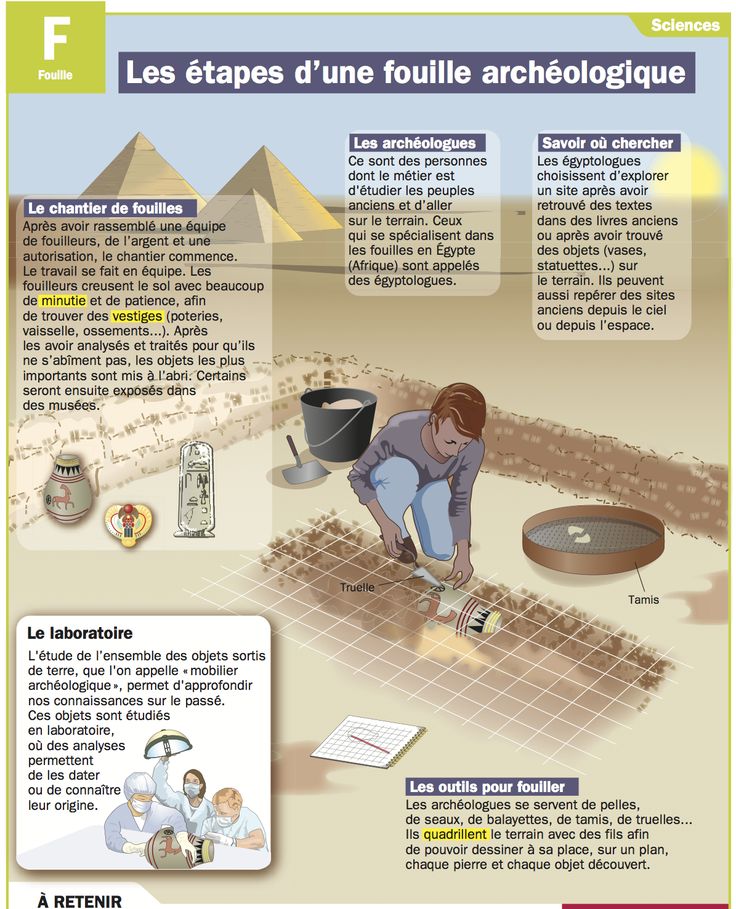 Educational infographic : Les étapes d’une fouille archéologique ...