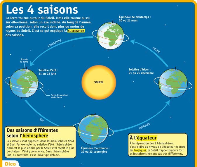 Science infographic – Fiche exposés : Les 4 saisons | InfographicNow ...