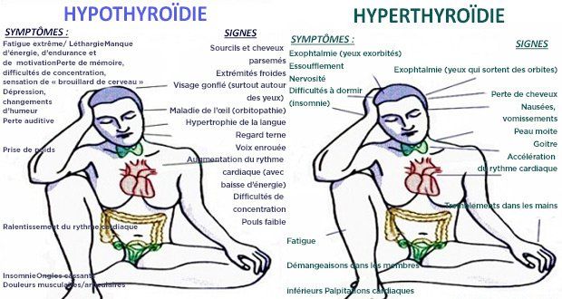 Educational infographic : Quelles différences entre l’hypo et l ...