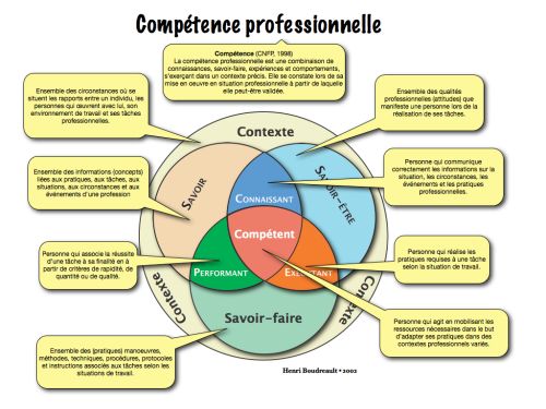 Management : Compétences professionnelles: savoir, savoir-être, savoir ...