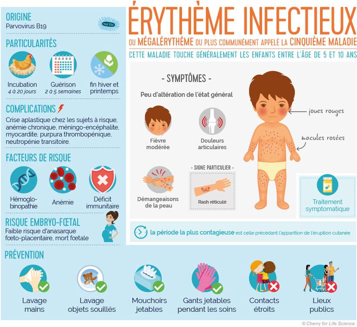 Health infographic : Infographie sur l'érythème infectieux ...