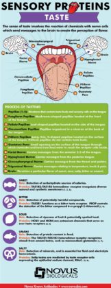 Health infographic : Taste Infographic: Explaining Taste from the ...