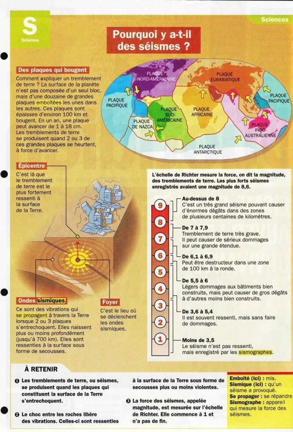 Educational infographic : a141.idata.over-b... 600x885 3 45 08 77 ...