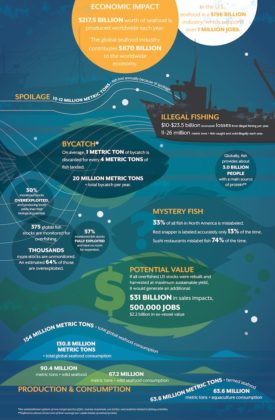 Statistics infographic : Infographic: The Impact of Overfishing, in ...
