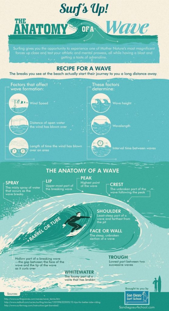 Travel infographic – Surf’s Up! The Anatomy of a Wave Infographic ...
