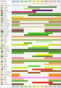 Food infographic – Fruits et légumes par saison | InfographicNow.com ...