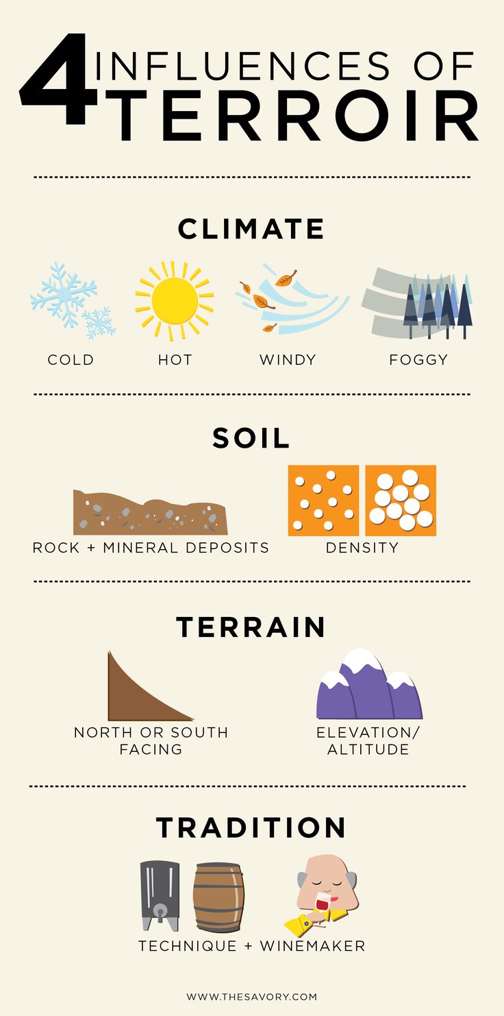 Food infographic – Terroir: Wine’s Biggest Mystery Debunked ...