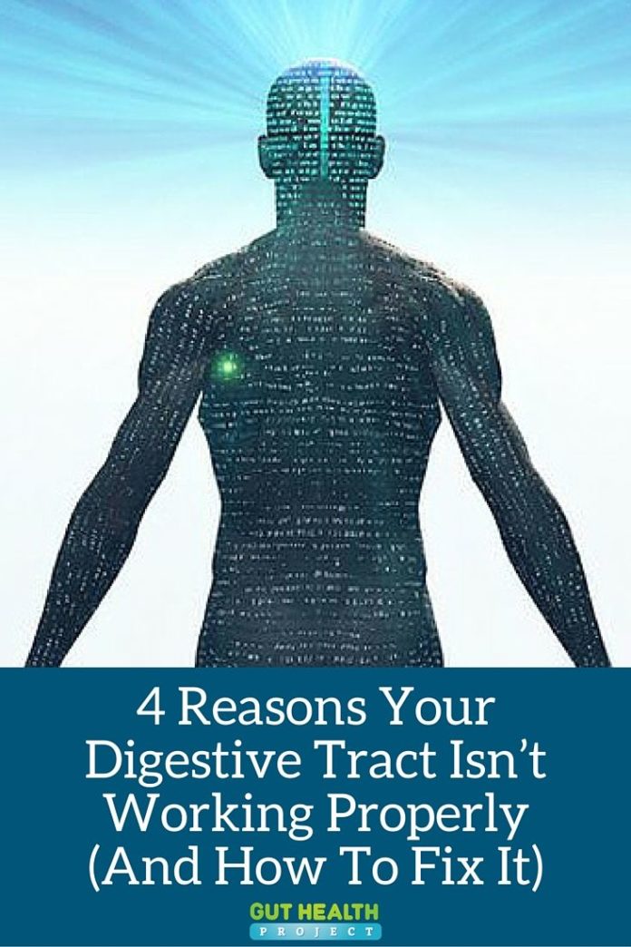 Health infographic : 4 Reasons Your Digestive Tract Isn’t Working ...