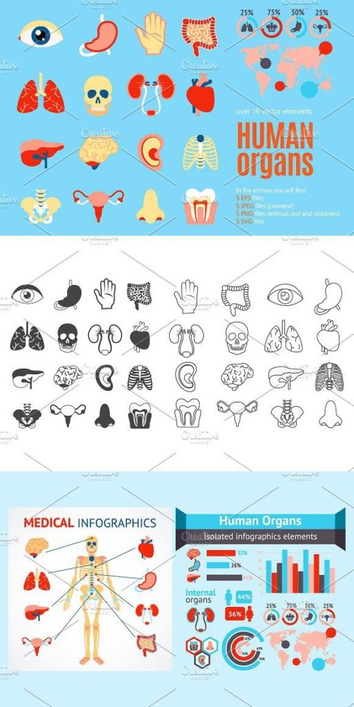 Medical infographic : Human Organs Flat Set. Medical Infographic ...