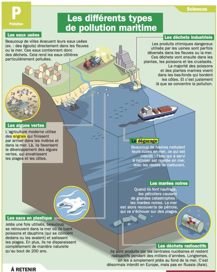 Science infographic - Les différents types de pollution maritime ...