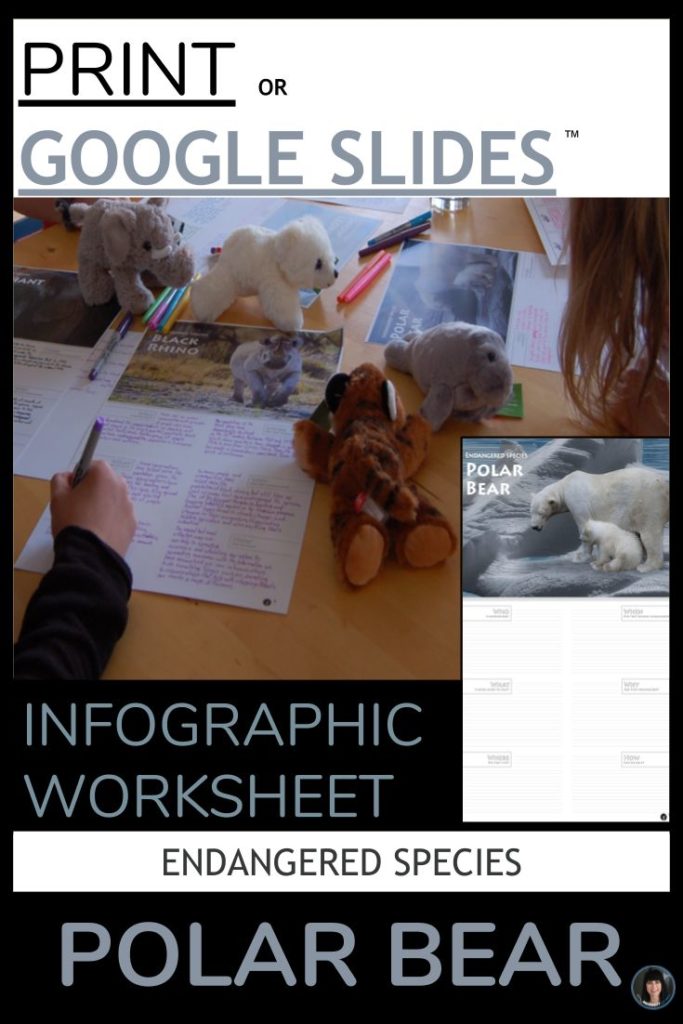 Educational infographic : ENDANGERED SPECIES POLAR BEAR ...