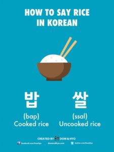 Educational infographic : Educational infographic : Korean Language ...