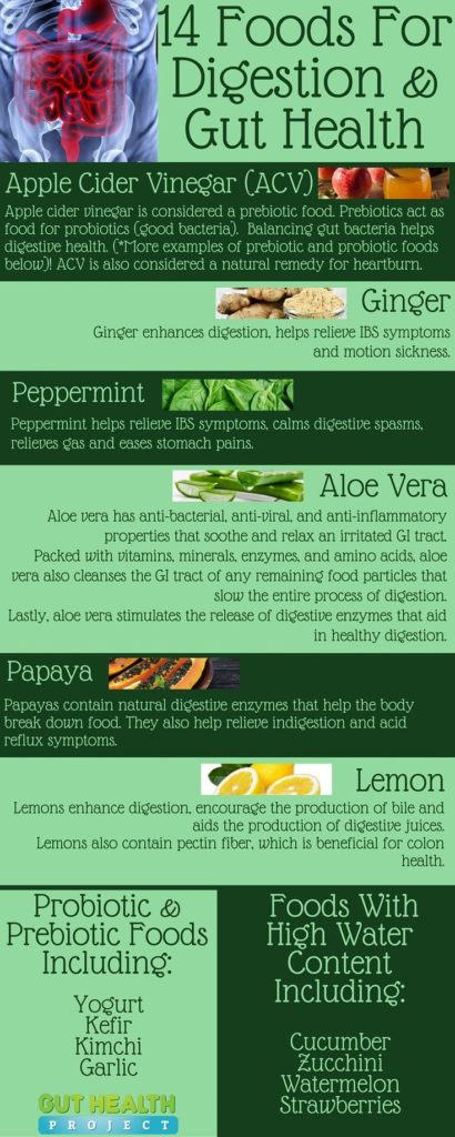 Food infographic - 14 Foods For Digestion and Gut Health ...