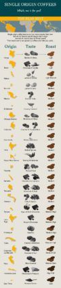 Food infographic – Coffee Bean | InfographicNow.com | Your Number One ...
