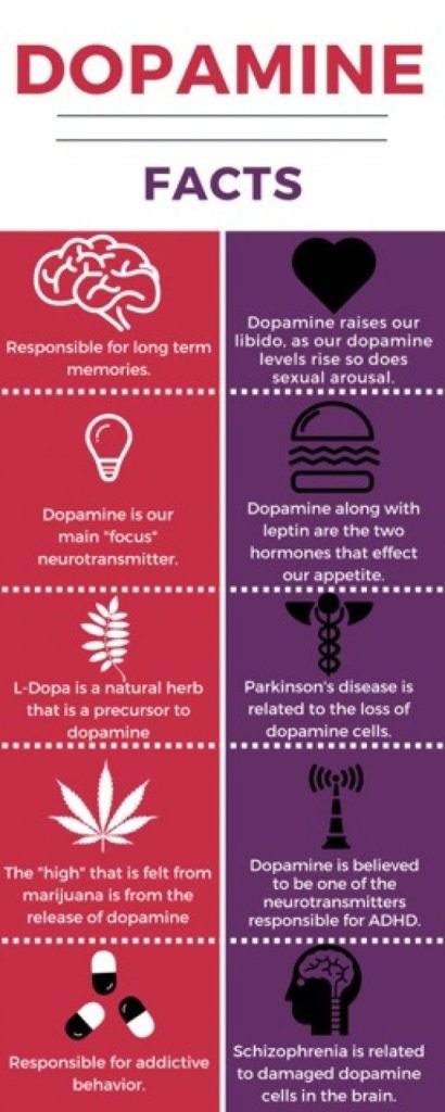 Psychology : Dopamine facts Infographic | InfographicNow.com | Your ...