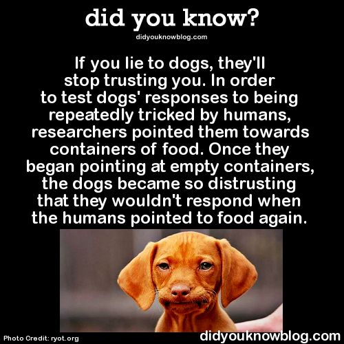 Psychology : If you lie to dogs, they’ll stop trusting you. In order to ...