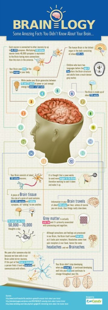 Psychology : Psychology : Brainology: 15 Intriguing Facts About Your ...