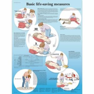 Science infographic – Science infographic – Basic Life Support Chart ...