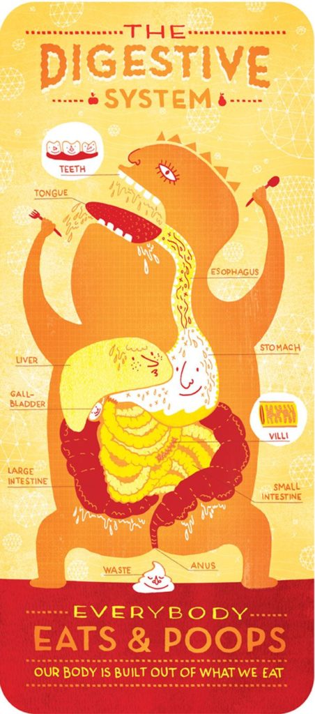 Educational infographic : Body Systems – L’anatomie expliquée en ...