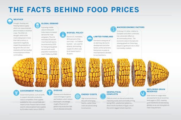 Food infographic – www.cmegroup.com/… | InfographicNow.com | Your ...